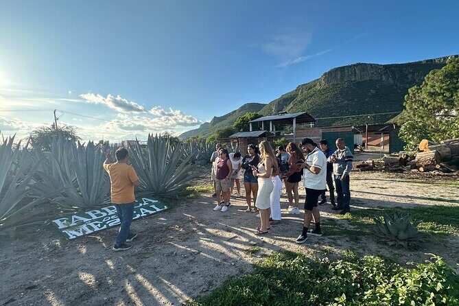Boil Water,Tube Tree,Mitla,Mezcal and Teotitlan Valley - Who Will Love This Tour?