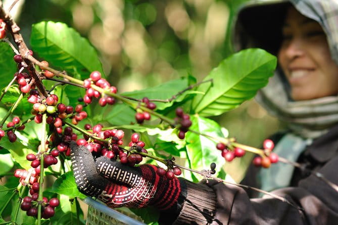 Bolaven Plateau 2 days with minivan and guides - Frequently Asked Questions