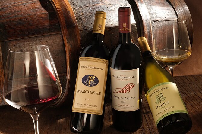 Bolgheri: Classic Wine Tasting with Winery Tour - Who Will Enjoy This Tour?
