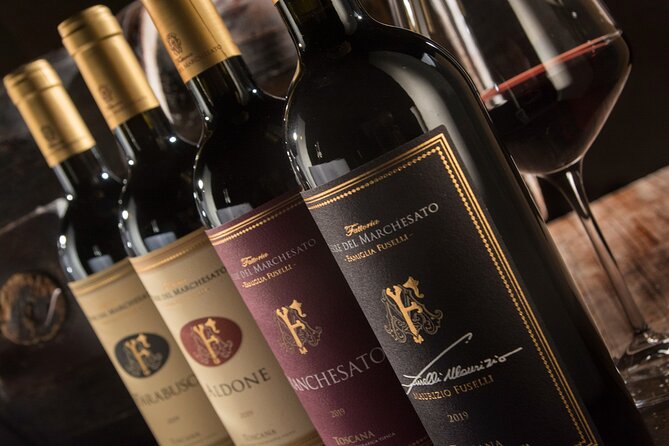 Bolgheri: Premium Wine Tasting With Winery Tour - Winery Tour and Vineyards