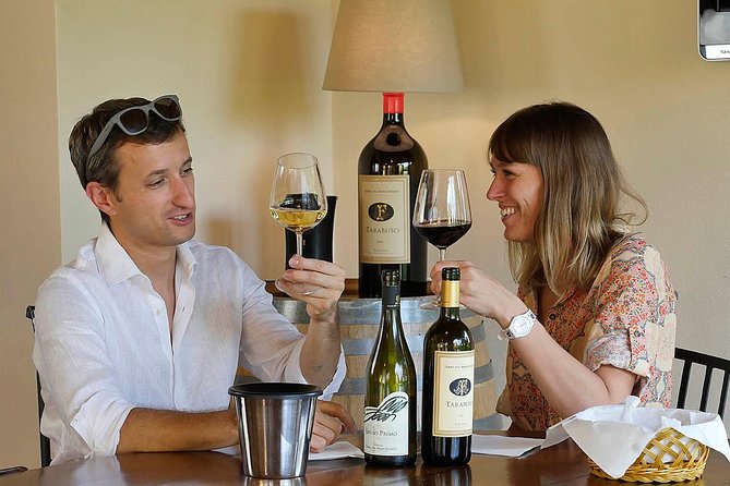 Bolgheri: Sensorial Wine Tasting With Winery Tour - Traveler Feedback and Ratings