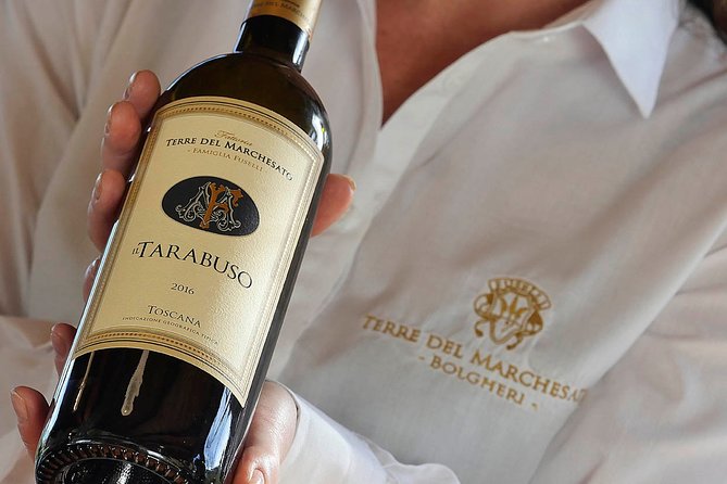 Bolgheri: Sensorial Wine Tasting With Winery Tour - How to Book Your Experience