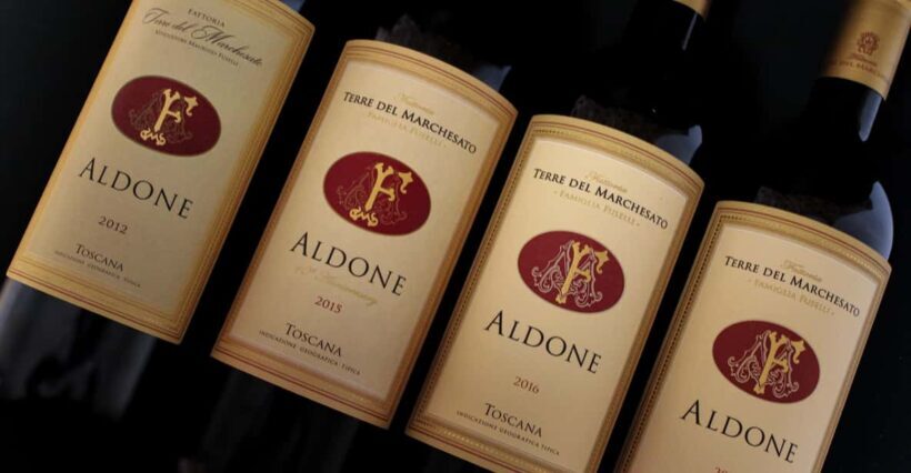 BOLGHERI: Vertical Wine-tasting at Terre del Marchesato - Key Points