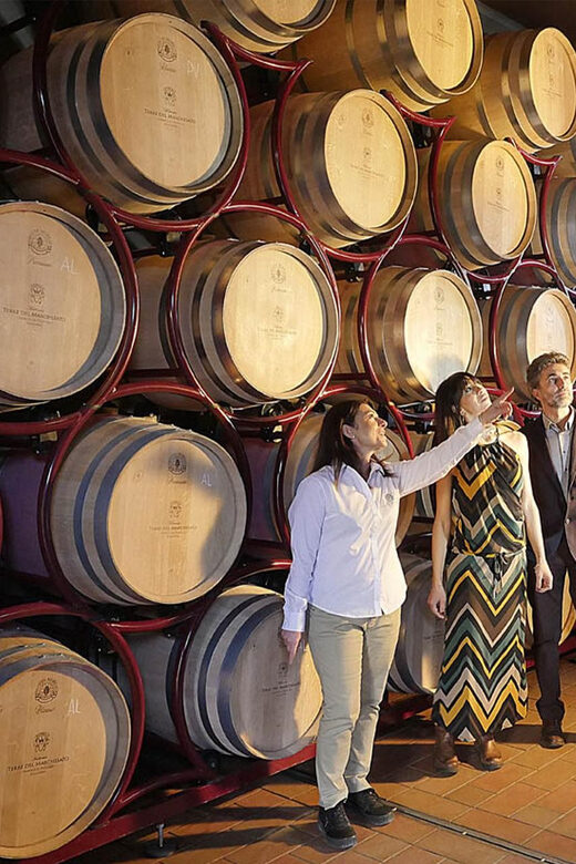 BOLGHERI: Vertical Wine-tasting at Terre del Marchesato - An Authentic Taste of Bolgheri’s Finest Wines