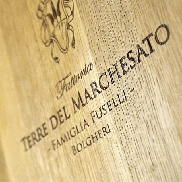 BOLGHERI: Vertical Wine-tasting at Terre del Marchesato - Who Should Book This Tour?