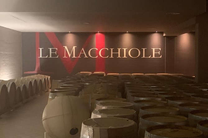 Bolgheri Wine Tour from Lucca - Exploring the Bolgheri Wine Tour from Lucca: An Authentic Day in Tuscany