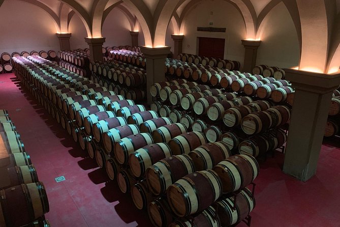 Bolgheri Wineries and Tuscany Tour - How This Tour Compares to Others