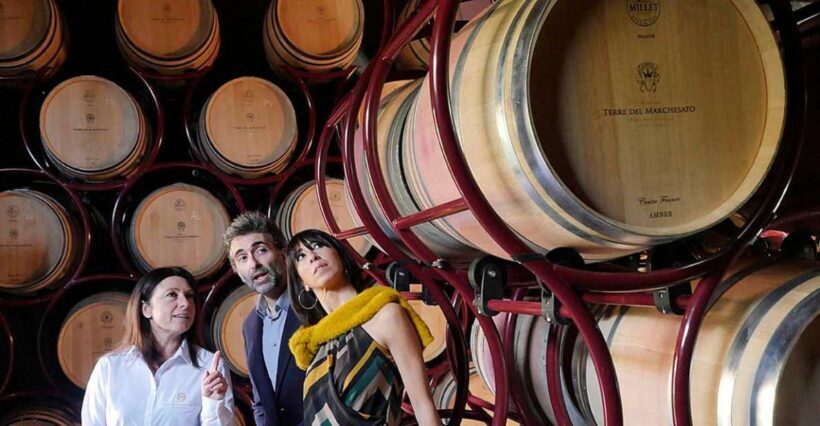 Bolgheri: Winery Tour with Wine Tasting - Discovering Bolgheri: A Winery Tour with Wine Tasting