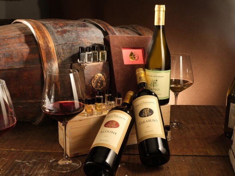 Bolgheri: Winery Tour with Wine Tasting - Key Points