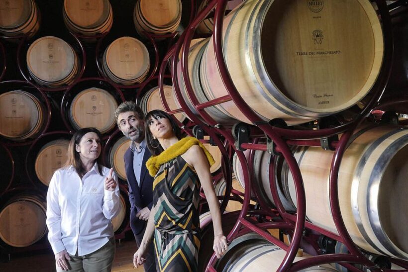 Bolgheri: Winery Tour with Wine Tasting - What Reviewers Love Most