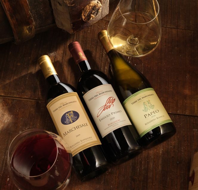 Bolgheri: Winery Tour with Wine Tasting - The Sum Up