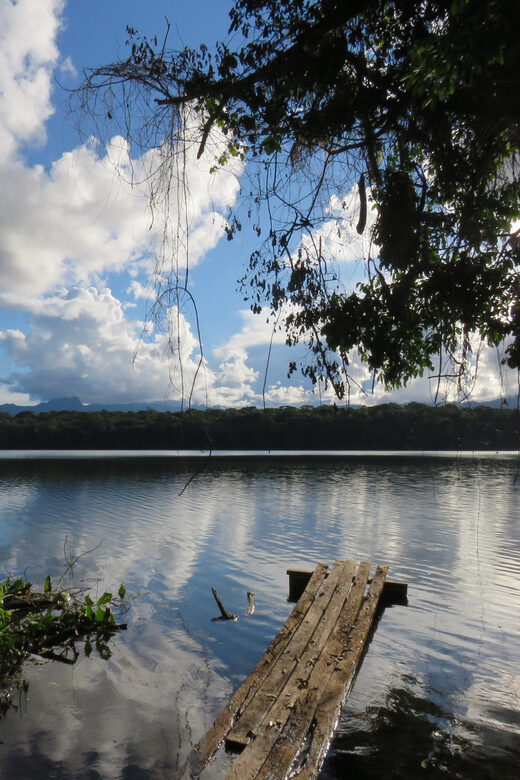 Bolivian Amazon: 3 days, Madidi Nat. Park with treetents - Key Points