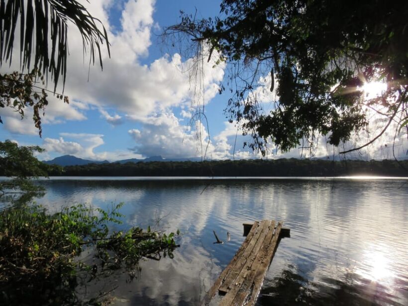 Bolivian Amazon: 3 days, Madidi Nat. Park with treetents - Cultural Encounters and Conservation