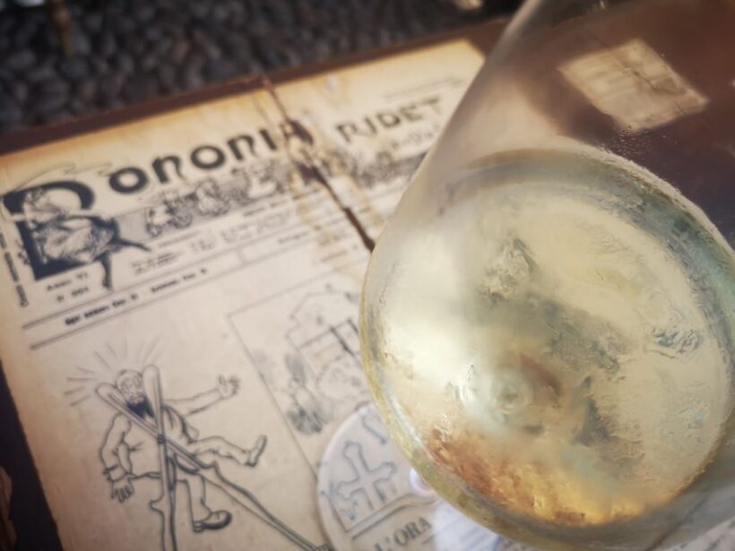 Bologna: City Center Guided Wine Walking Tour - The Guide: Your Local Expert