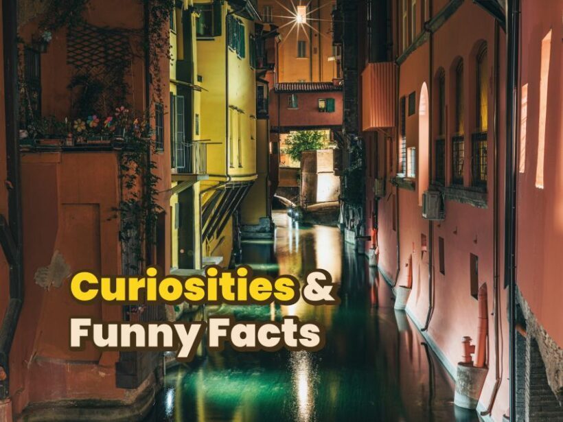Bologna: Digital Guide made by a Local for your walking tour - The Sum Up