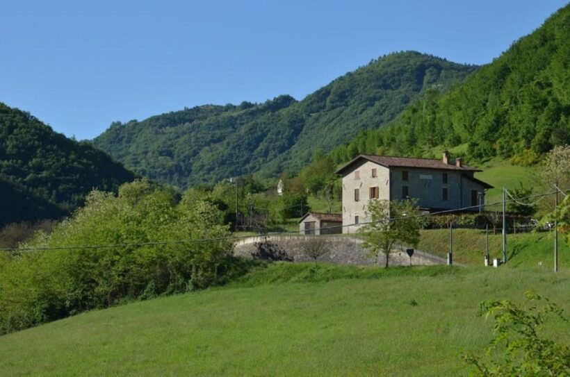 Bologna Forlì: foraging, looking for wild edible herbs - What Makes This Tour Stand Out?