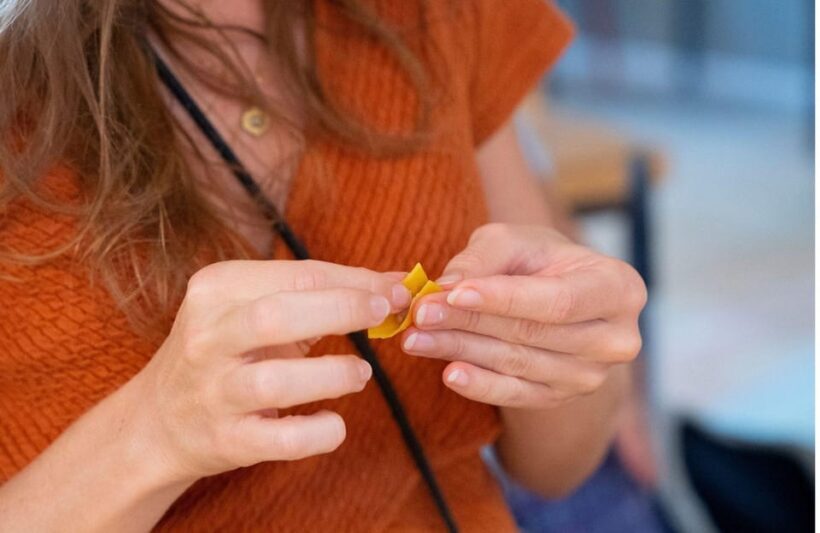 Bologna Grand Tour Italy: sfoglini for a day - Key Points