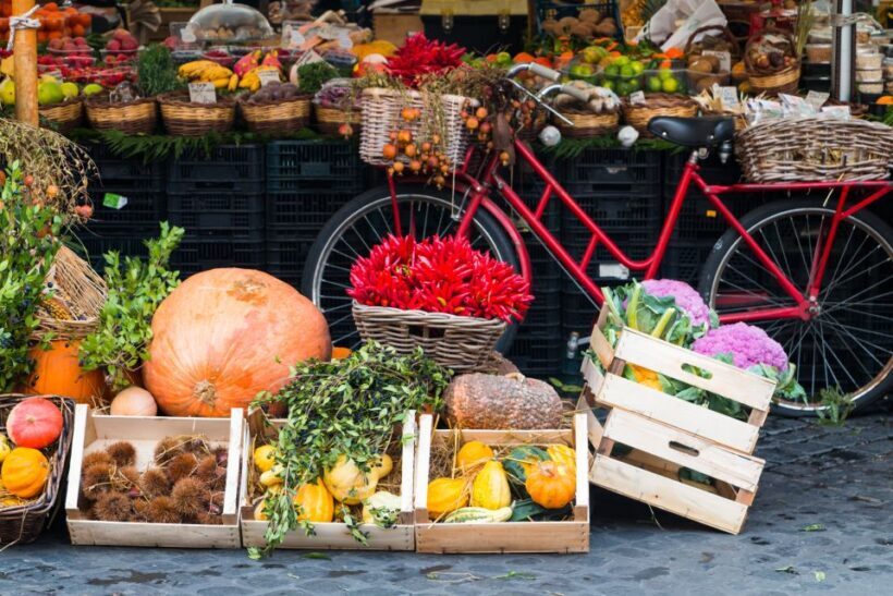 Bologna: Market, Cooking Demo and Meal at a Local's Home - Exploring Bologna’s Market and Culinary Scene