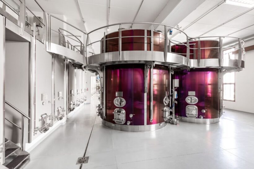 Bologna: Olive Grove and Vineyard Tour with Product Tastings - The Sum Up: Who Is This Tour Best For?