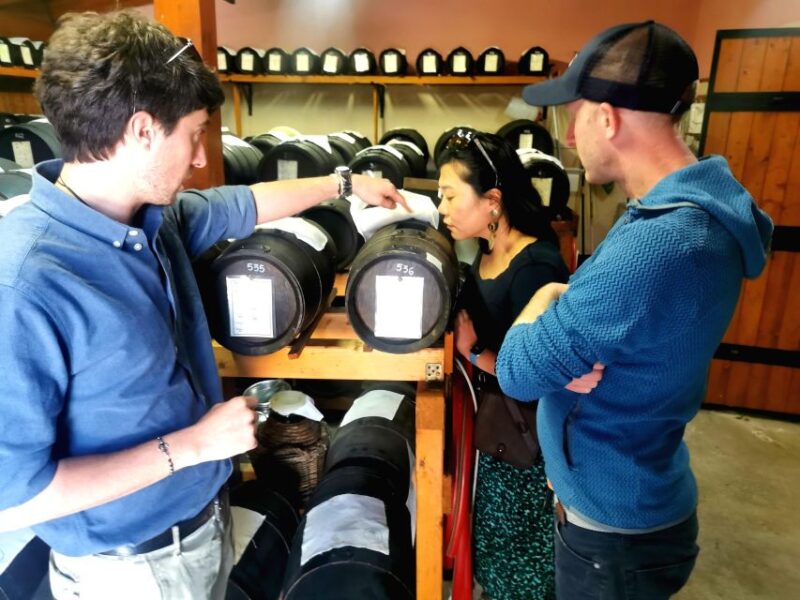 Bologna: Parmigiano, Wine and Balsamic Vinegar experience - Key Points