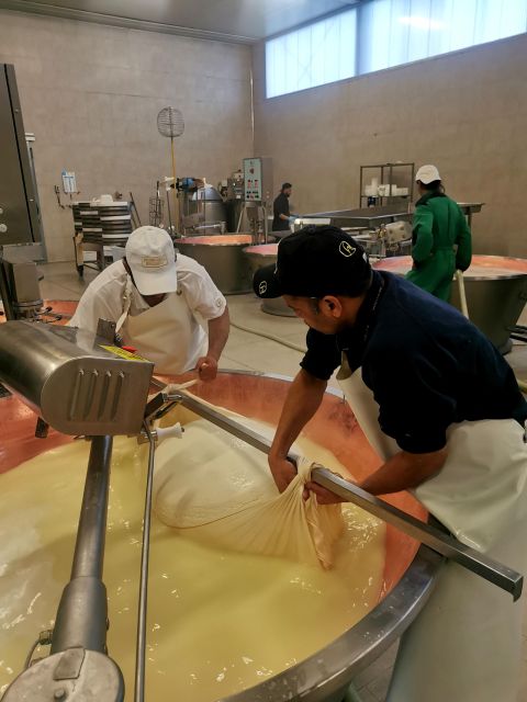 Bologna: Parmigiano, Wine and Balsamic Vinegar experience - Final Thoughts: Who Will Love This Tour?