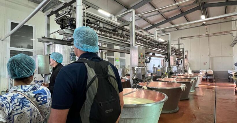 Bologna: Super Cars, Parmesan and Balsamic Tour with Lunch - Analyzing Value: Is It Worth the Cost?