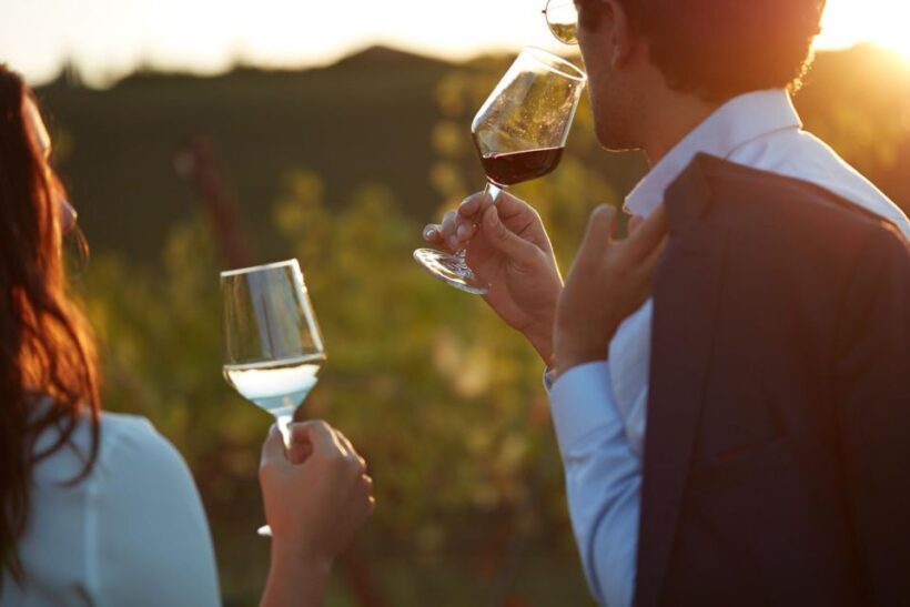 Bologna Vineyard Vista: a journey through Emilian wines - Who Will Love This Tour?