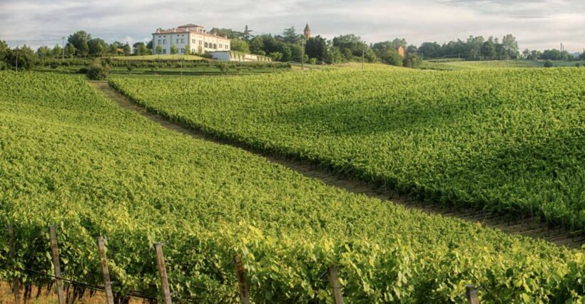 Bologna Vineyard Vista: a journey through Emilian wines - The Sum Up: Why This Experience Is Worth Considering