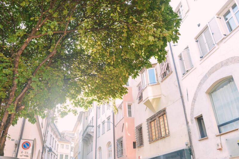 Bolzano: Beers & Bites Tour with Beer Expert - Final Thoughts