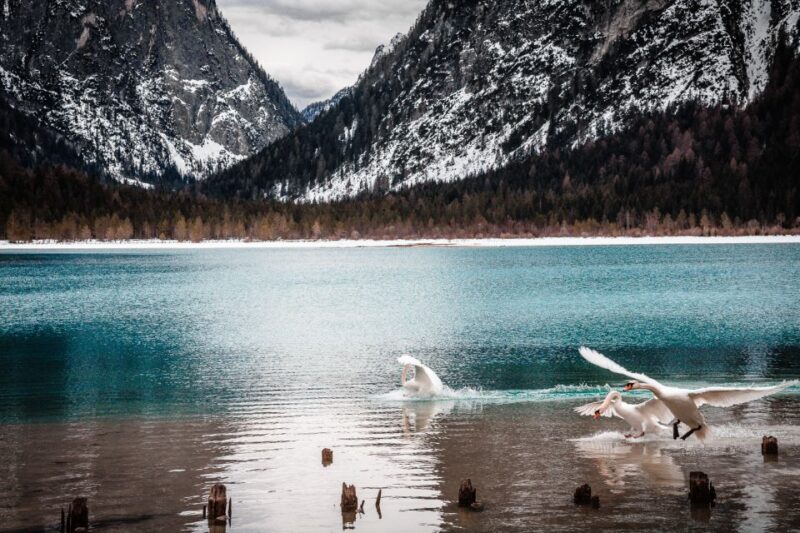 Bolzano: Best of the Dolomites in One Day Private Tour - Detailed Breakdown of the Itinerary