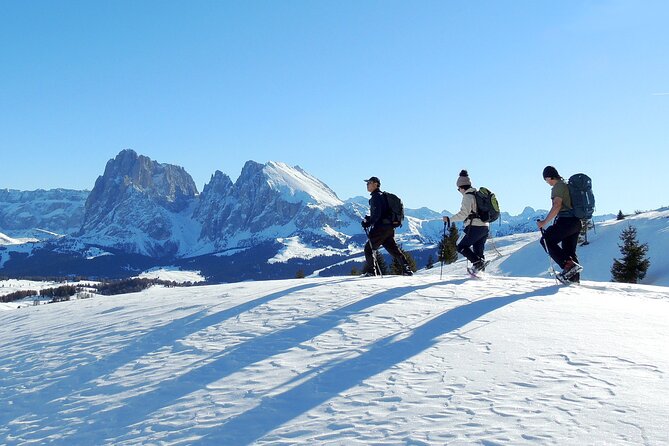 Bolzano Dolomites: Winter Hiking & Sledding Experience - Accessibility and Fitness Requirements