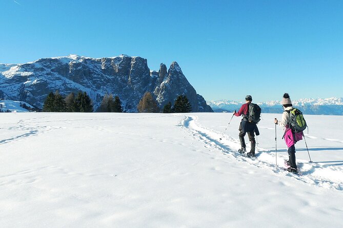 Bolzano Dolomites: Winter Hiking & Sledding Experience - Frequently Asked Questions