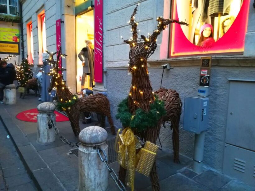 Bolzano private tour: picturesque town Sud Tyrol Dolomites - Final Thoughts