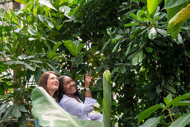 Bombay Sapphire Gin Cocktail Masterclass and Tour - Customer Reviews and Recommendations