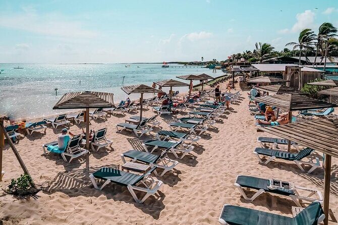 Bonaire 2 hour Island Tour & 2 hour Beach Stay - Bonaire 2 Hour Island Tour & 2 Hour Beach Stay — An Honest Look