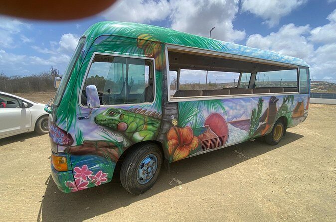 Bonaire 2 hour Island Tour & 2 hour Beach Stay - Is This Tour Right for You?