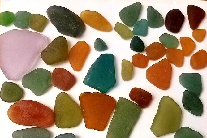 Bonaire Beachcombing and Sea Glass Private Tour - An Inside Look at the Bonaire Sea Glass Tour