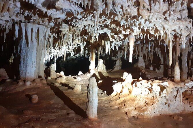 Bonaire Cave Tour: Walk, Climb & Swim - Who Will Love This Tour?