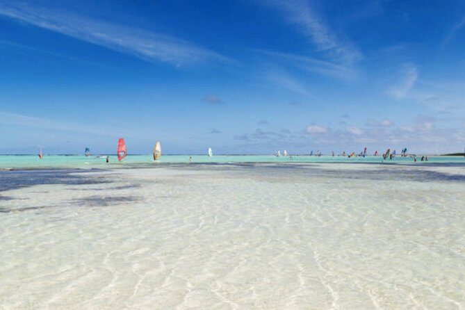 Bonaire Shore Excursion: The Bonaire Highlights Tour - Who Will Love This Tour?