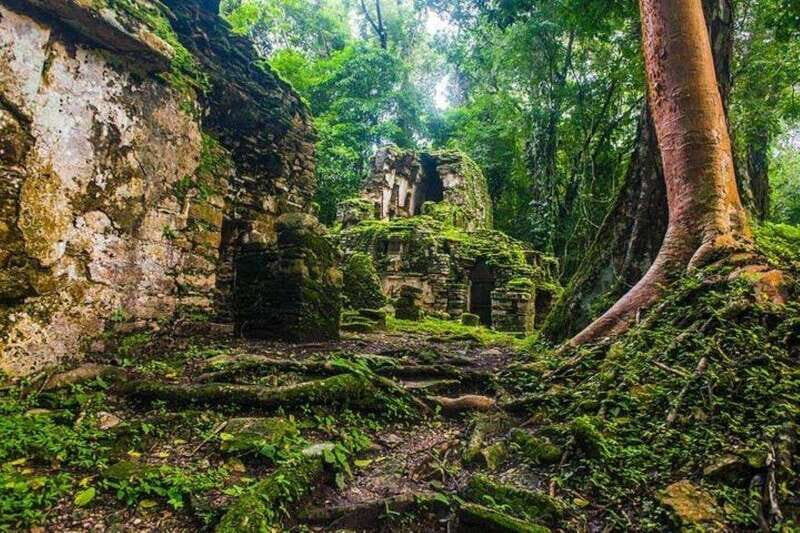 Bonampak & Yaxchilan archaeological sites & jungle - Yaxchilán: The hidden treasure by the river