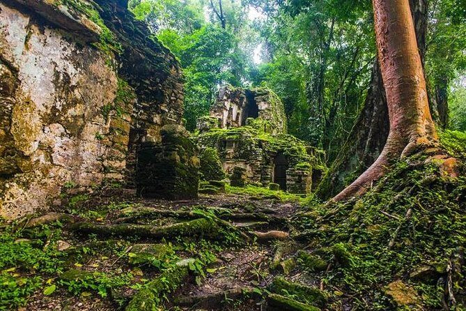 Bonampak & Yaxchilan: Hidden Maya Ruins in the Chiapas Jungle - Value and Pricing