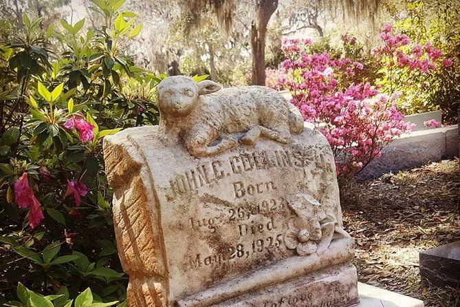 Bonaventure Cemetery Is Forever Tour - Practical Tips for the Tour