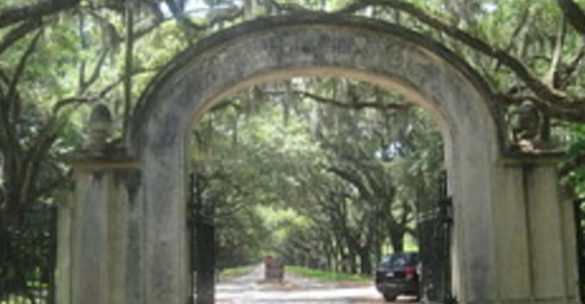 Bonaventure Cemetery & Wormsloe State Historic Site Tour - An Introduction to the Tour