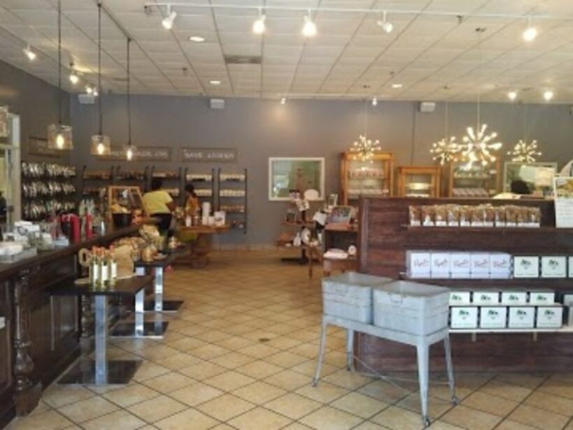 Bonaventure Cemetery & Wormsloe State Historic Site Tour - The Itinerary Breakdown