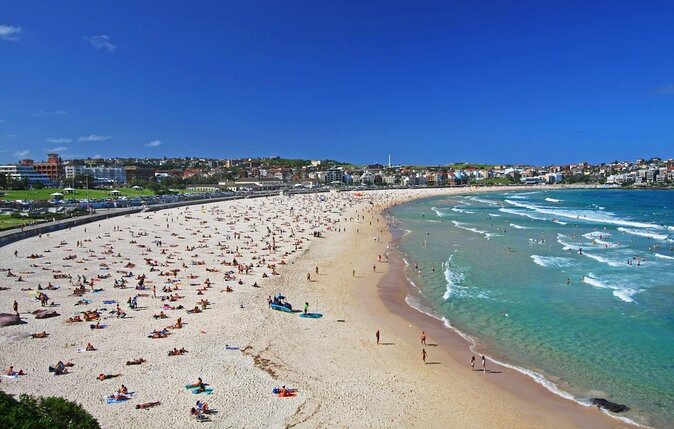 Bondi Beach and Beyond private tour - Key Points