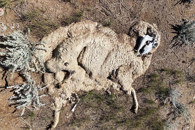 Bone Hunting in Wyoming - The Sum Up