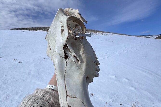 Bone Hunting in Wyoming - FAQ