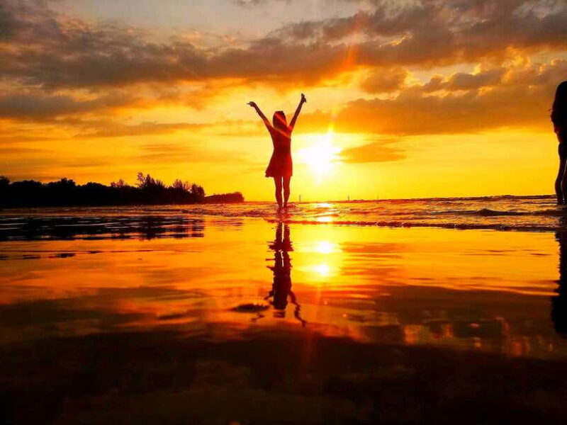 Bongawan Wetland: Proboscis Monkey and Fireflies Shared Tour - Key Points