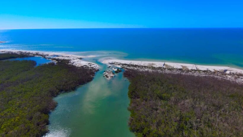 Bonita Springs Clear Kayak Tour with Dolphins & Manatees - Booking, Cost, and Value