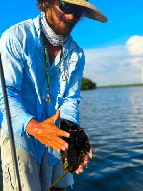 Bonita Springs: Kayak Tour with Manatees, Dolphins Sightings - Final Thoughts: Who Will Love This Tour?